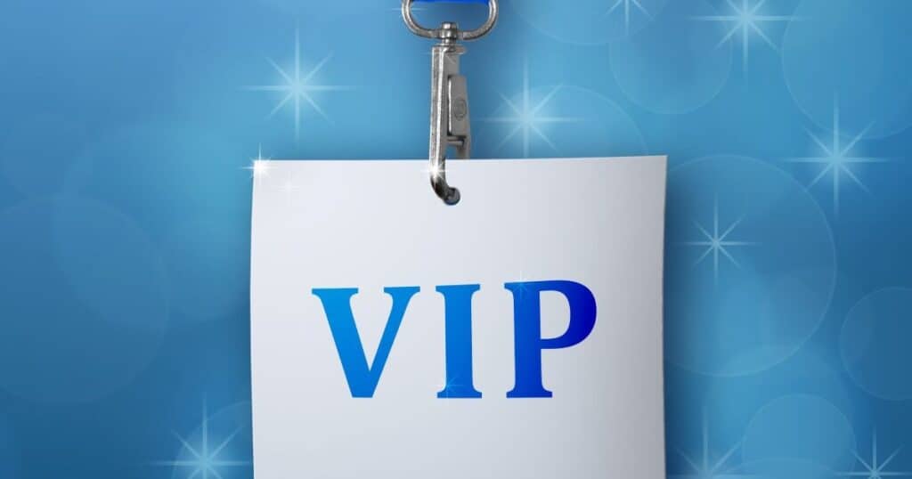 What Does the VIP Tour at Disney Include? | Joy Your Travel Expert